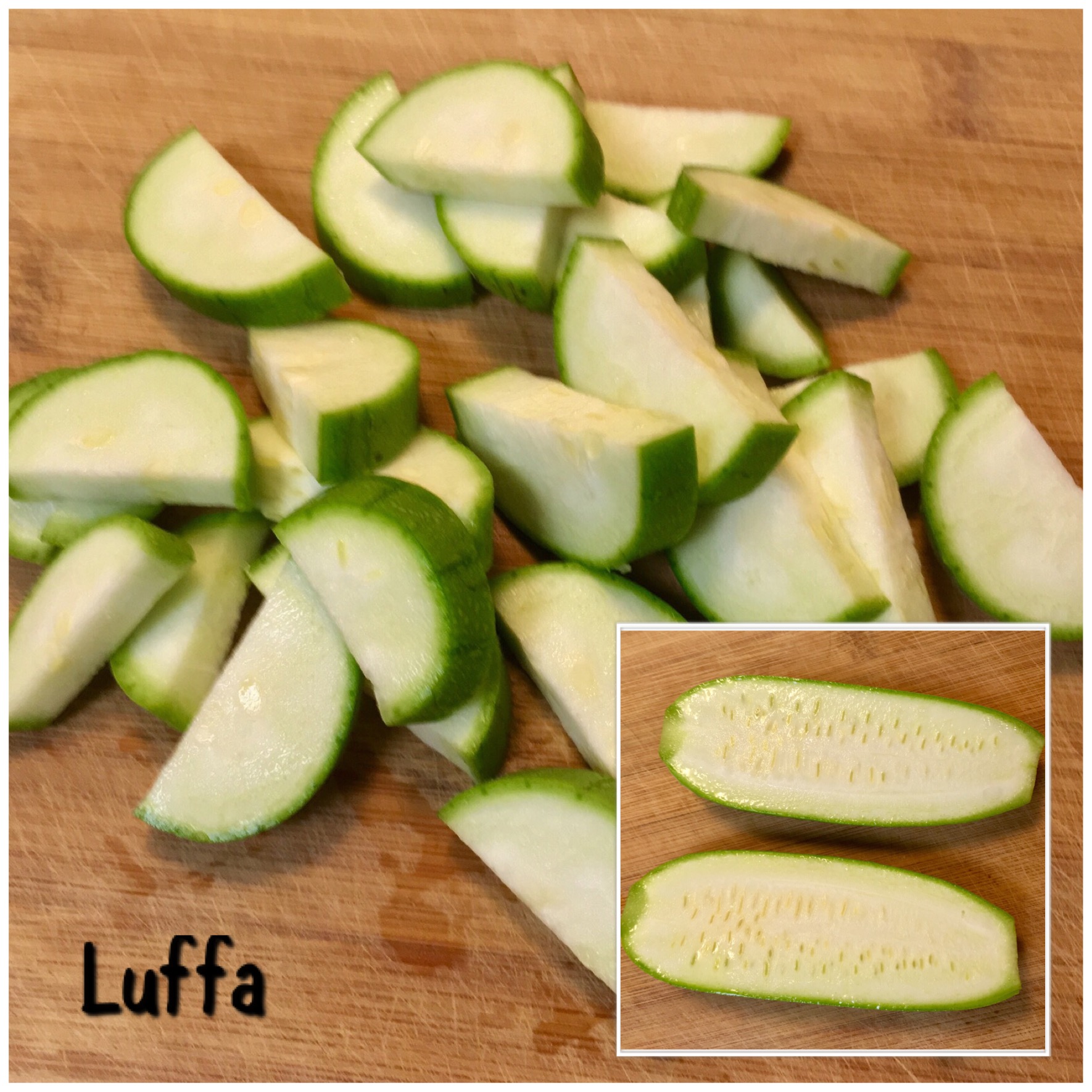 Luffa – Kity Gardener