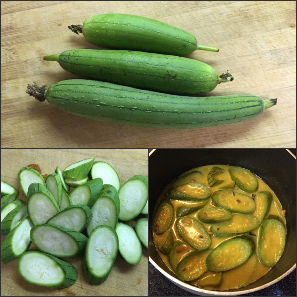 Luffa Curry – Kity Gardener