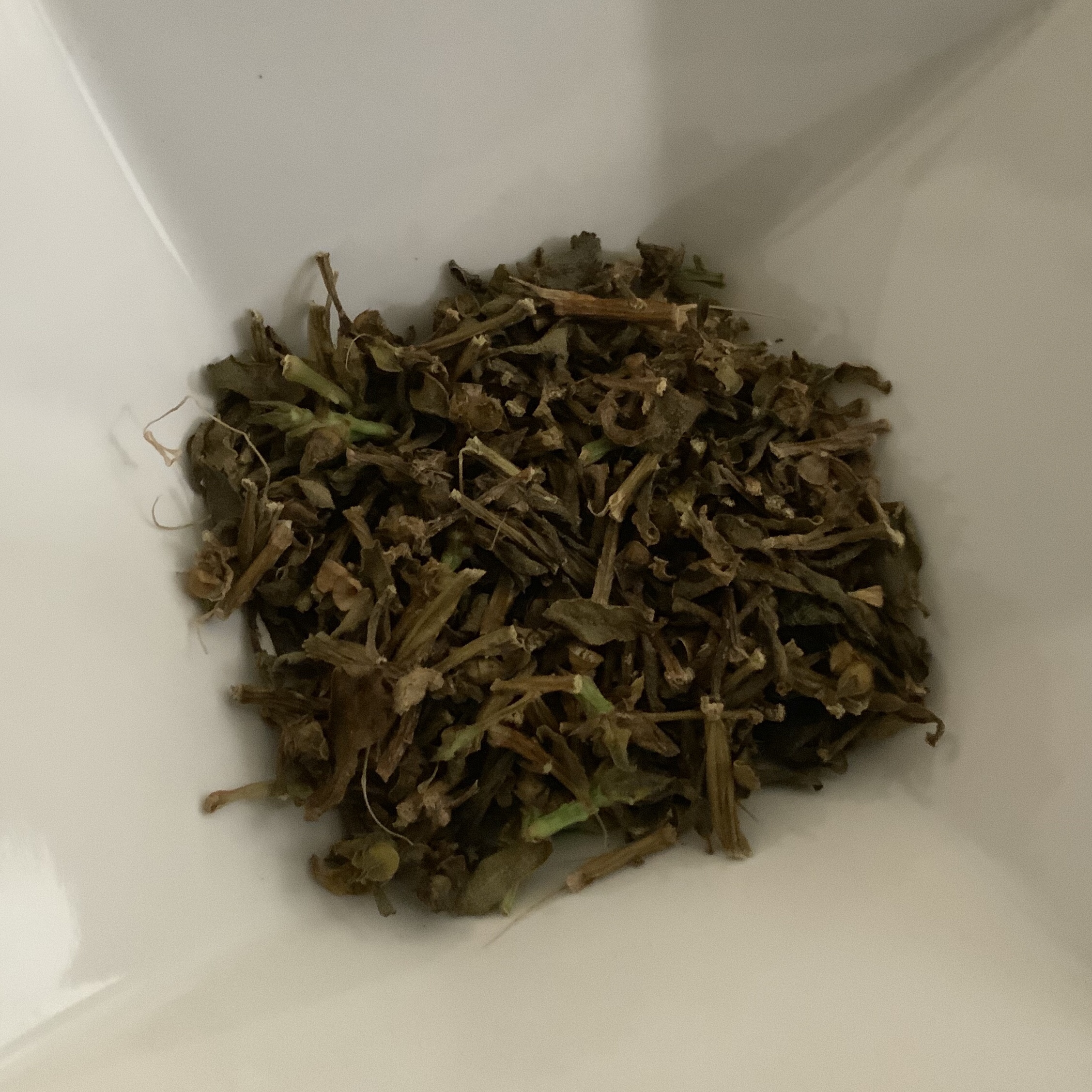 Purslane Tea – Kity Gardener