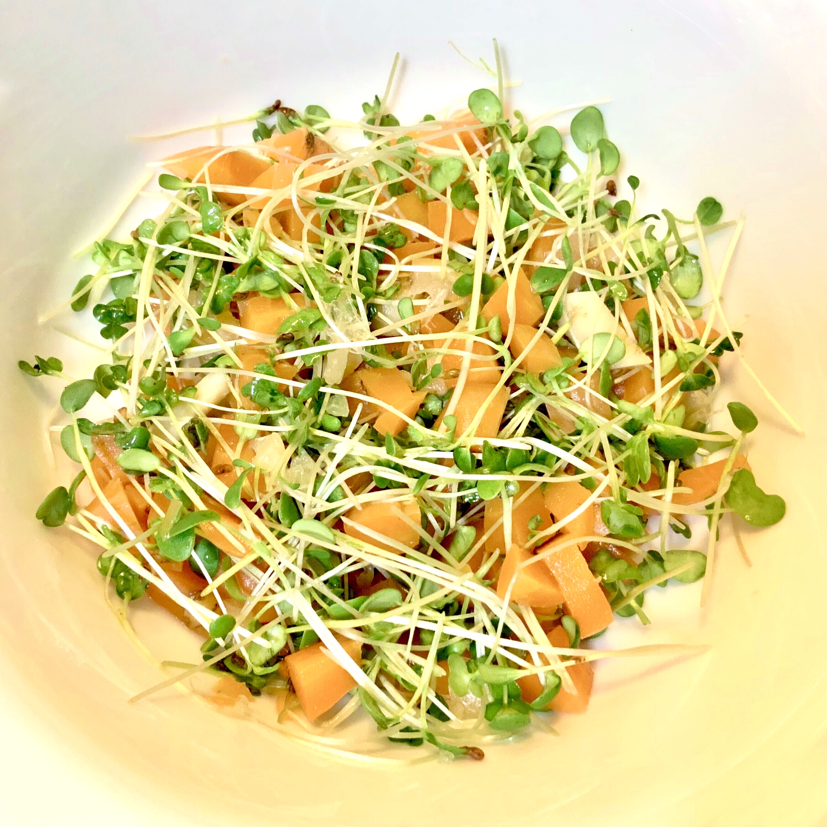 Pickled Homegrown Carrot & Microgreen Salad – Kity Gardener